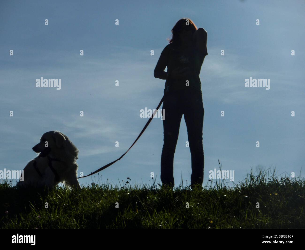 pet owner taking the dog for a walk in the park taking dog for a walk ...