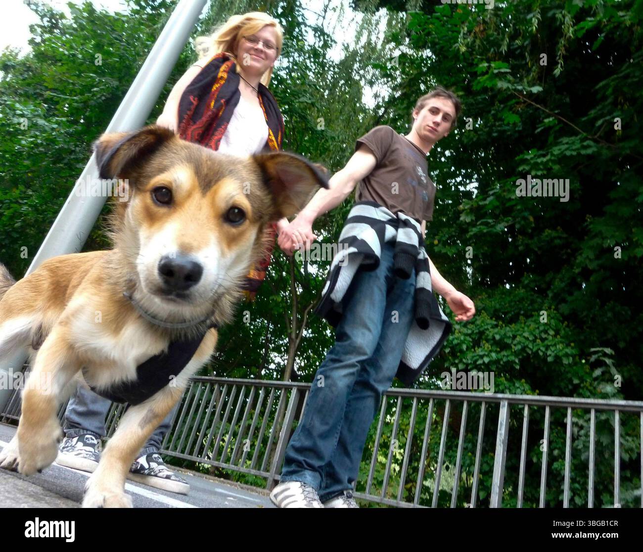 the pet owner taking the dog for a walk outside pet owner taking dog ...