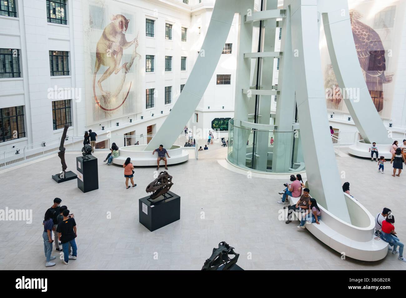 Concourse in the National Museum of Natural History in Manila ...