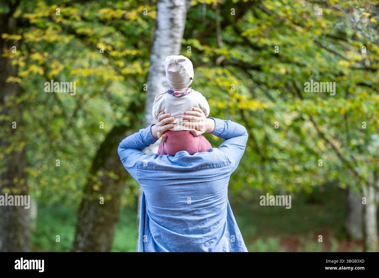 Description: Rear view of a father lovingly carrying his baby on his ...