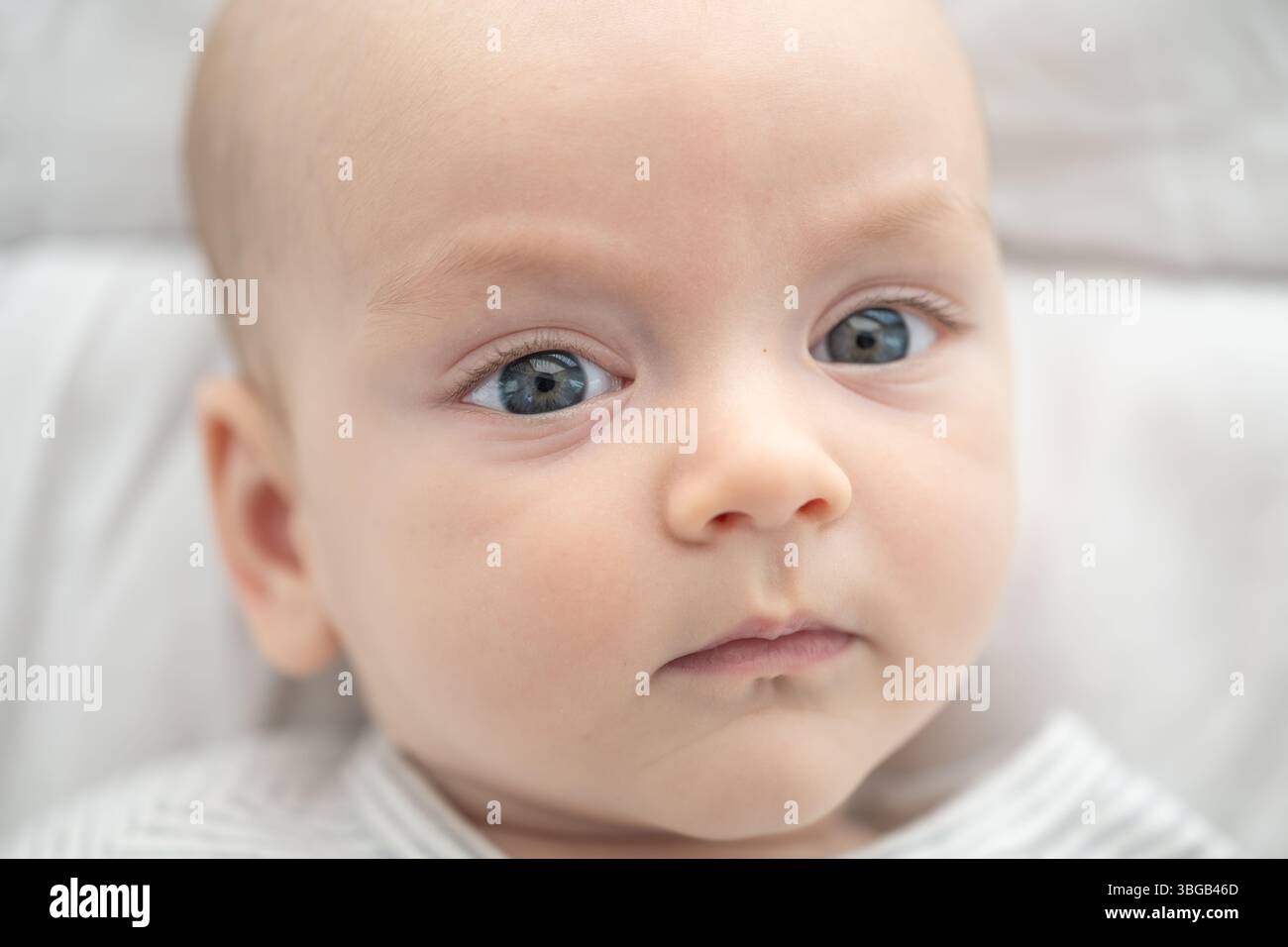 Description: Sweet baby, calm in a neutral setting: A sweet baby gaze ...