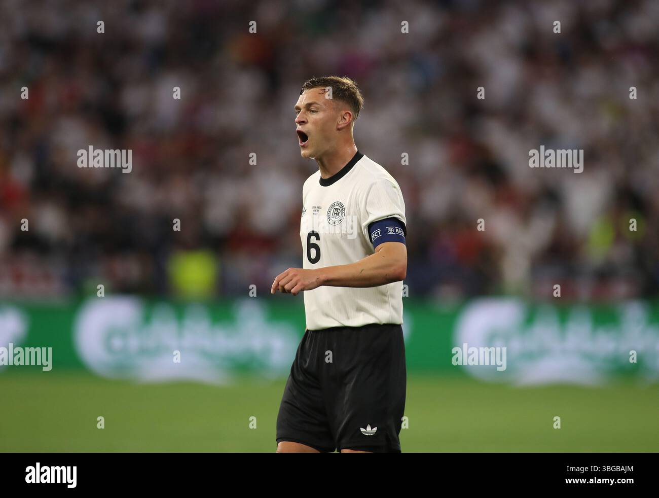 Fussball, Herren, Saison 2024/2025, Deutschland - Portugal, UEFA ...