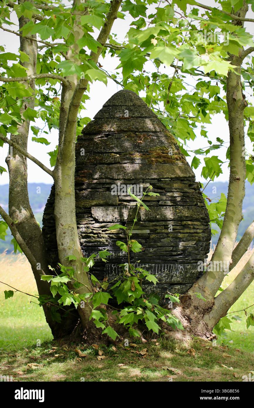 Tree stump park castle hi-res stock photography and images - Alamy