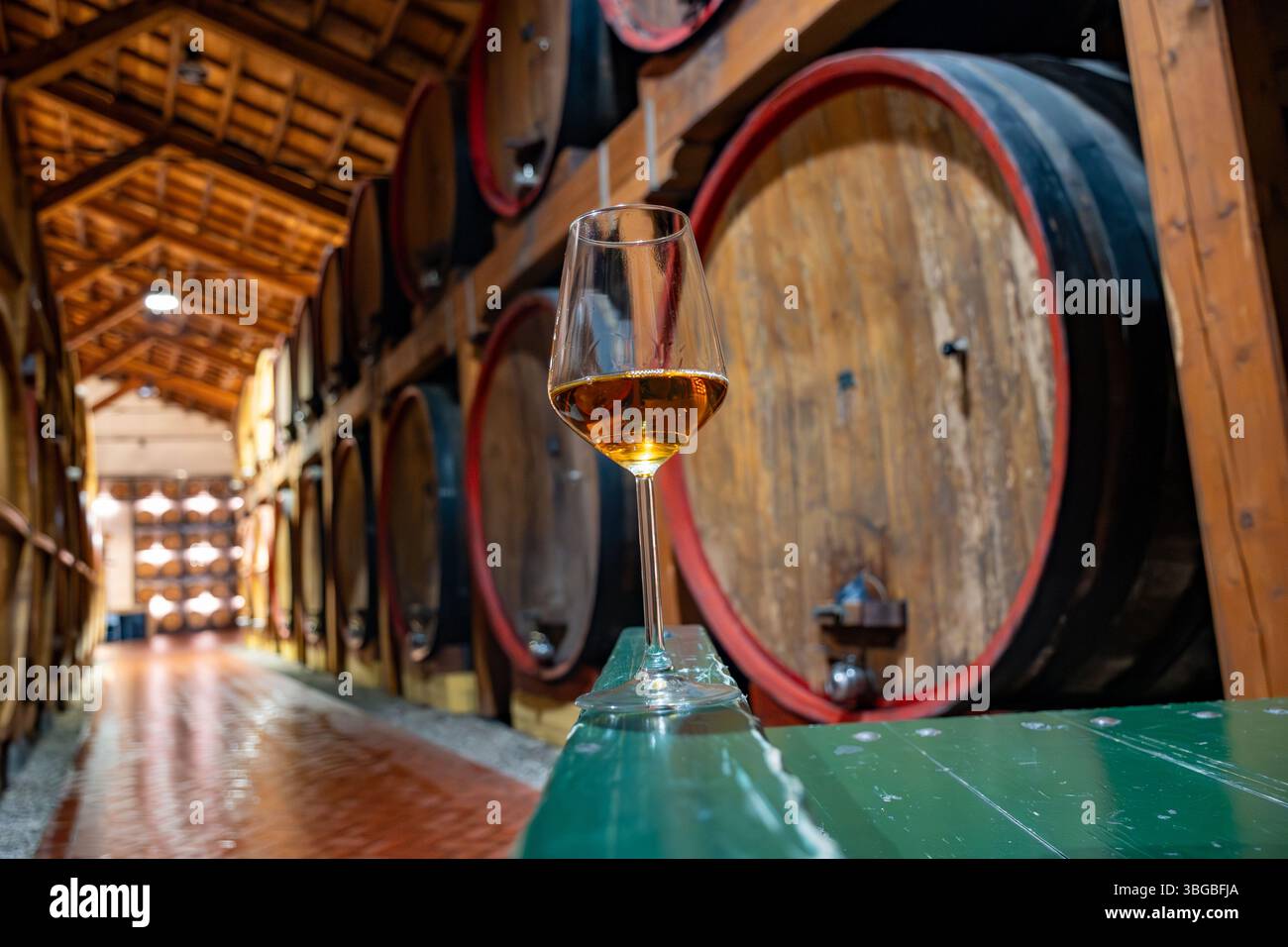 Visit of wine cellar with old large oak barrels, glass of fortified dry ...