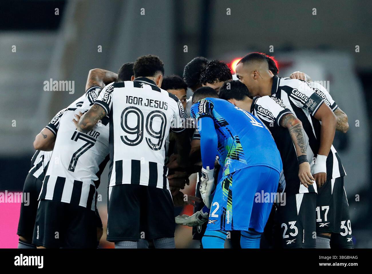 Rio de Janeiro, Brazil. 04th June, 2025. Players of Botafogo during the ...