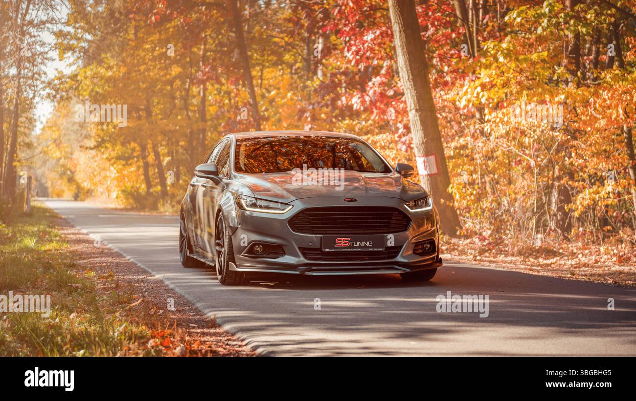 grey Ford Mondeo on narrow road in autumn forest. Front view of a car ...