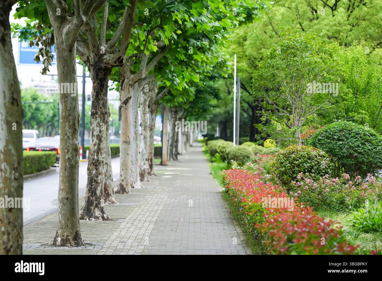 On June 2, 2025, at Zhangjiang Hi-Tech Park Station in Shanghai's ...