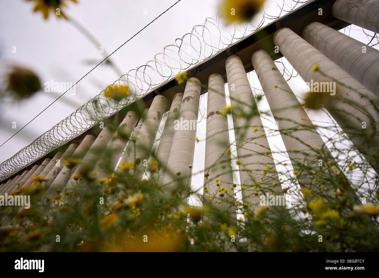 Concertina wire tops a border wall, one of two separating Tijuana ...