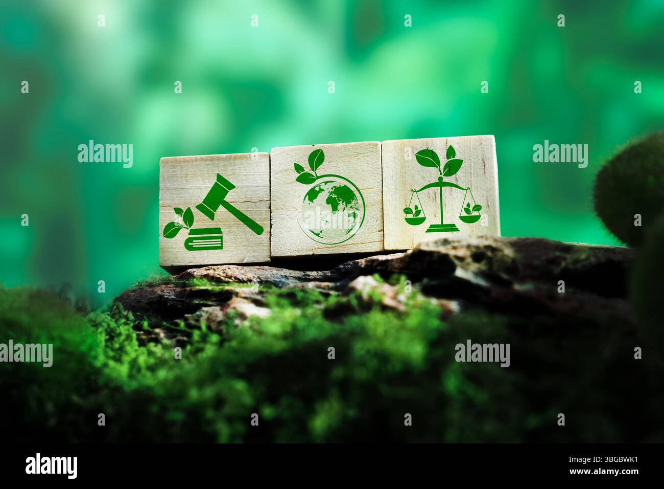 Three wooden blocks with green eco law, planet Earth, and justice icons ...