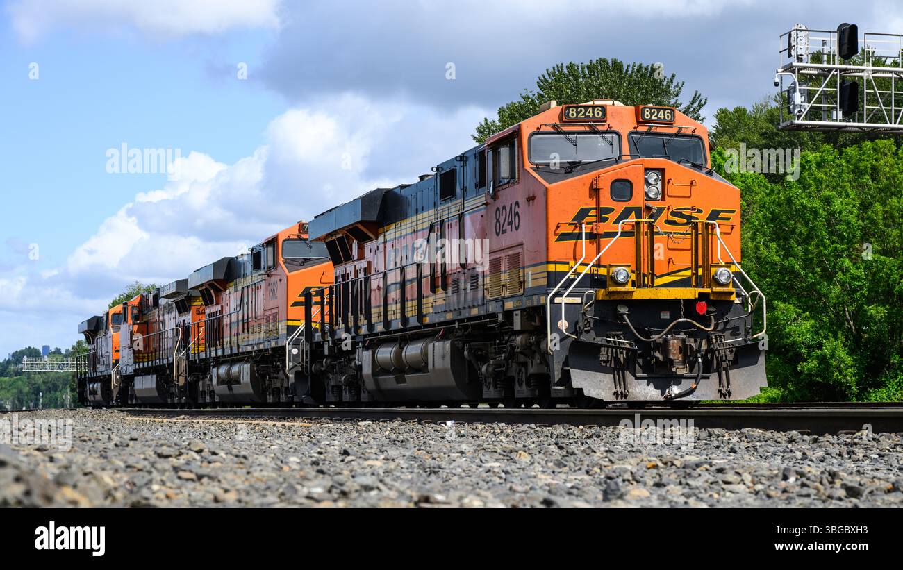 Seattle - May 18, 2025; BNSF orange livery freight locomotives in line waiting for a train to ...