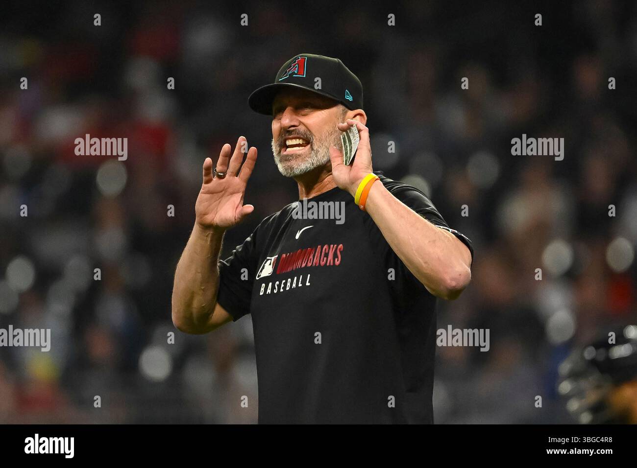 ATLANTA, GA - JUNE 04: Arizona Diamondbacks manager Torey Lovullo (17 ...