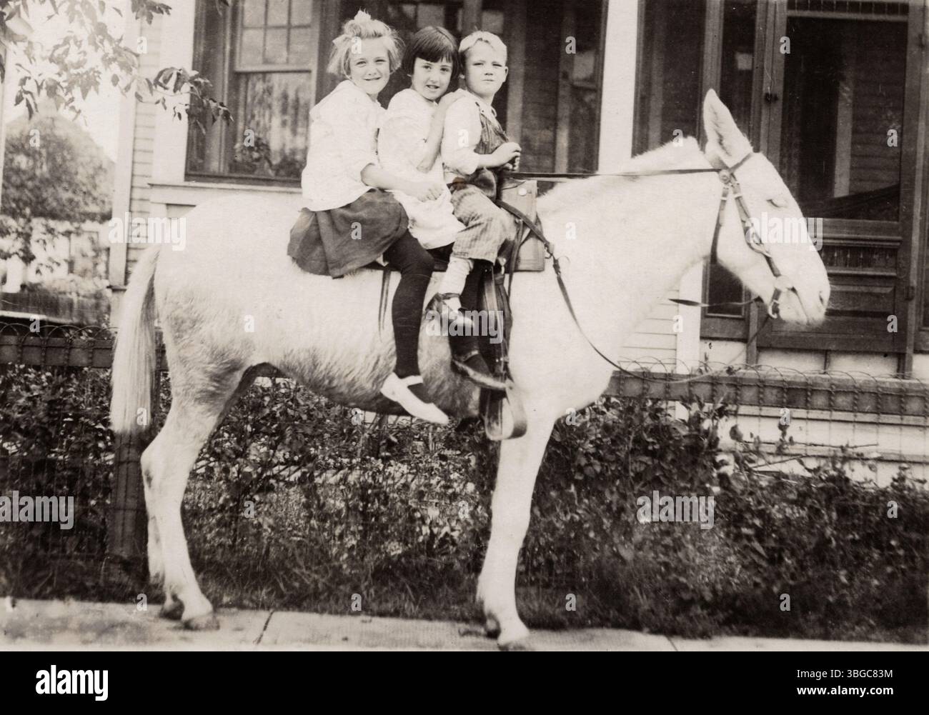 Three children on white mule or horse, unidentified location, approx ...