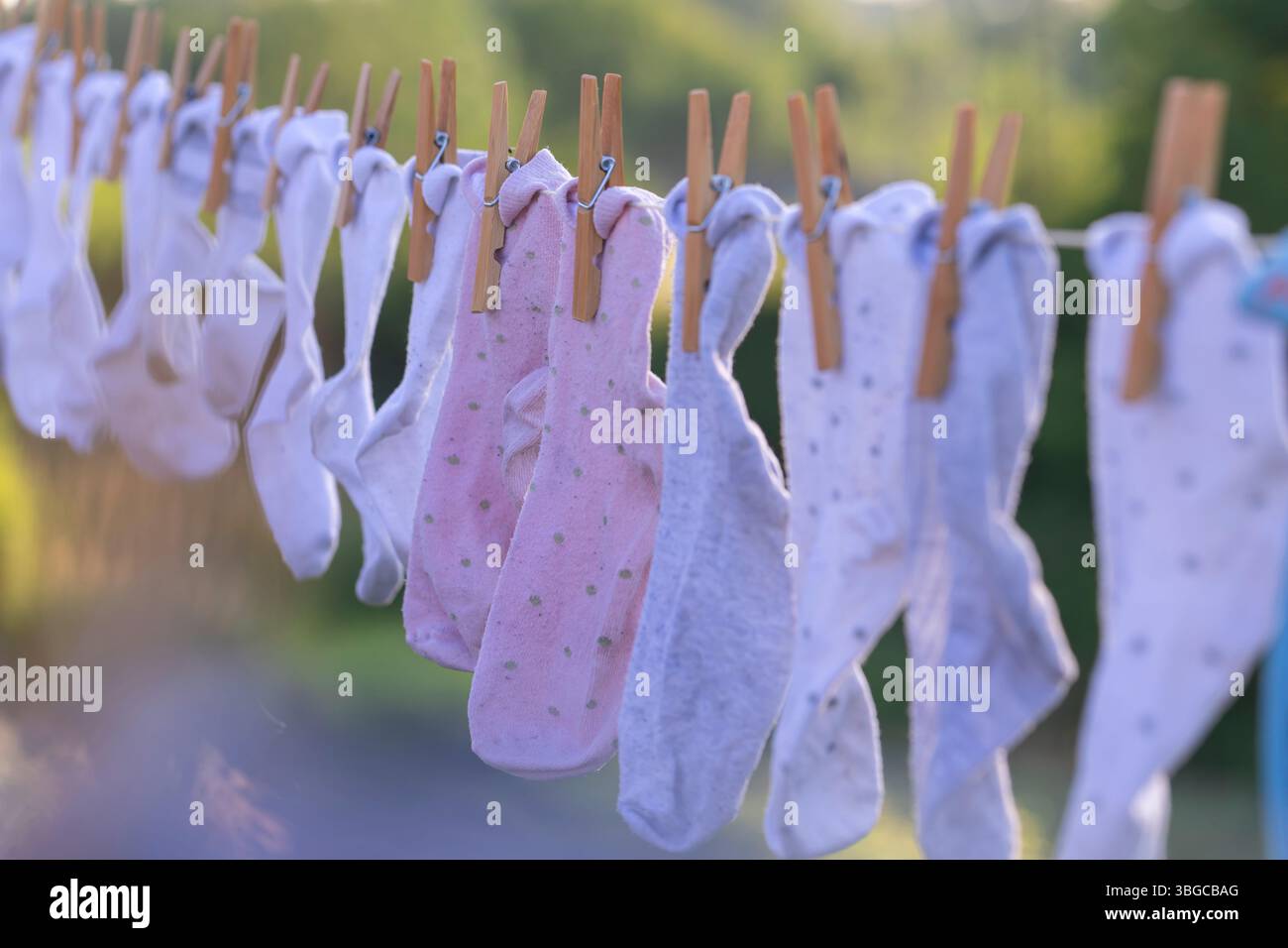 Freshly laundered socks hanging on a line with natural wooden ...