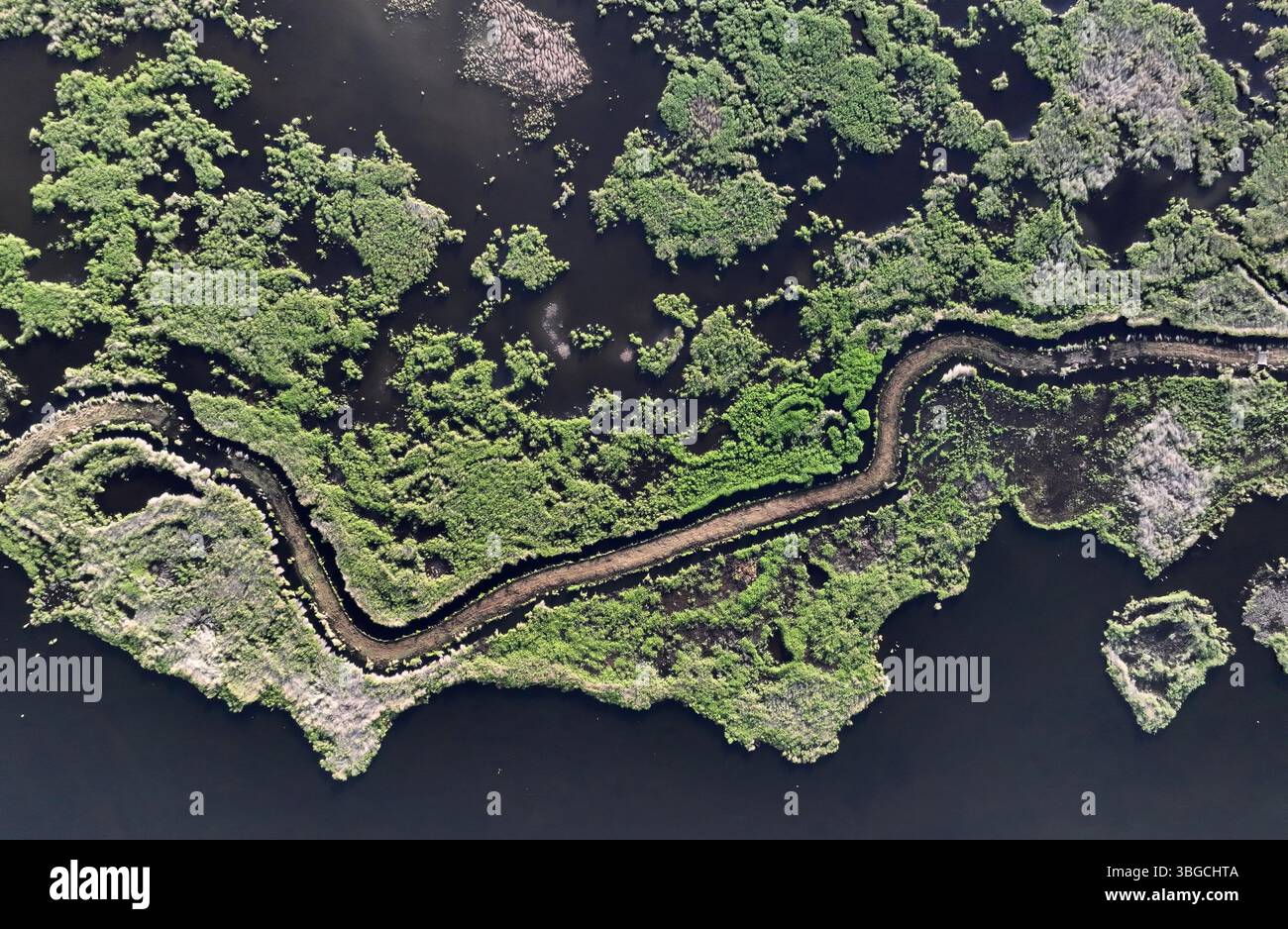 Aerial photo shows the summer scenery of Longju Wetland in Heshuo ...