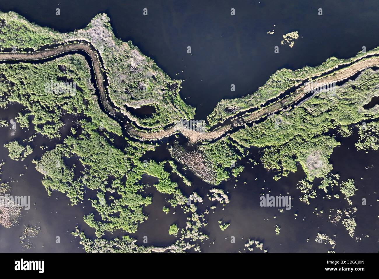 Aerial photo shows the summer scenery of Longju Wetland in Heshuo ...