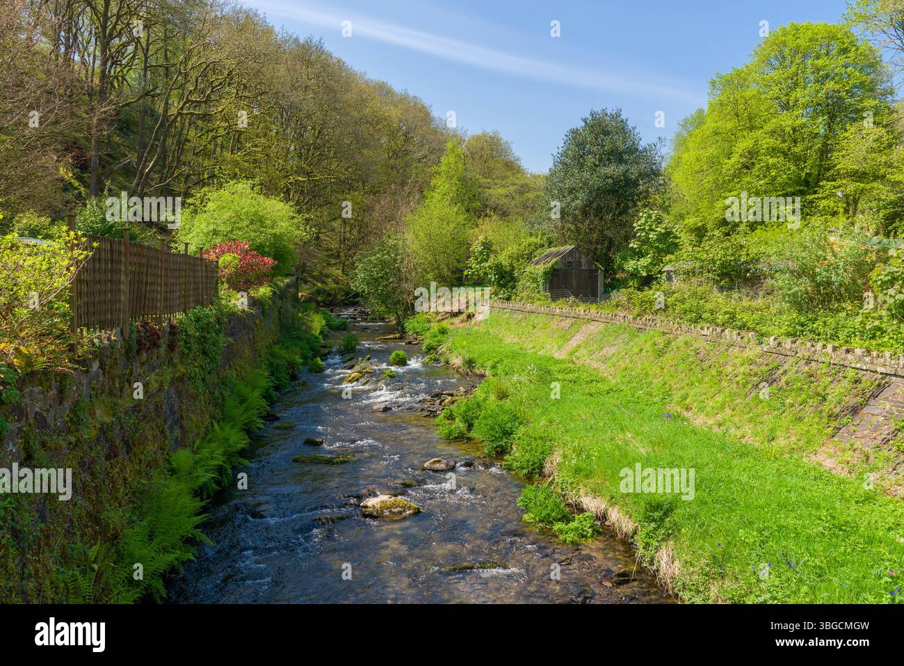 Barbrook at Barbrook village just before it merges with the West Lyn ...