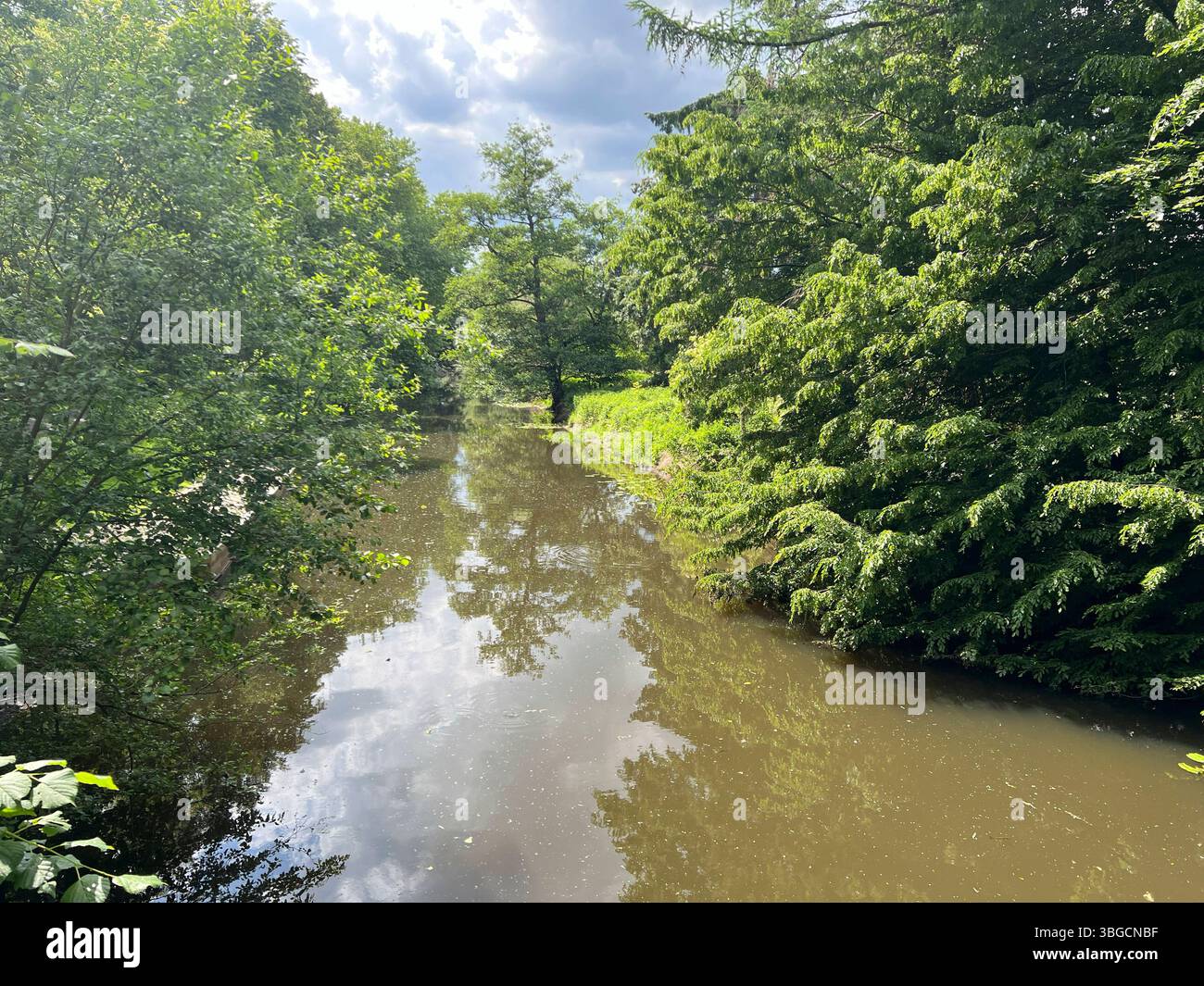 Grünzug an der Ems Ems in Rheda-Wiedenbrück / river Ems in Rheda-Wiedenbrueck, 2.6.2025 Foto ...