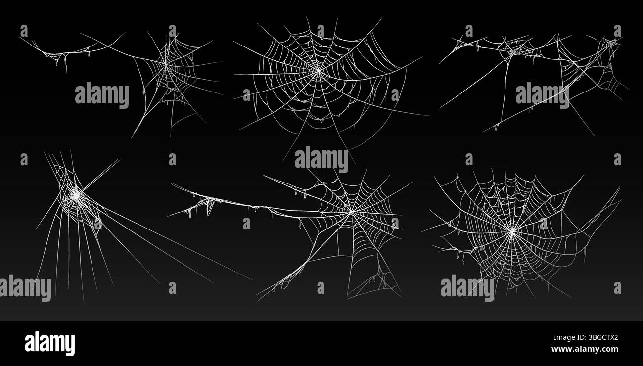 Halloween old spooky cobweb with various sizes and shapes Stock Vector ...