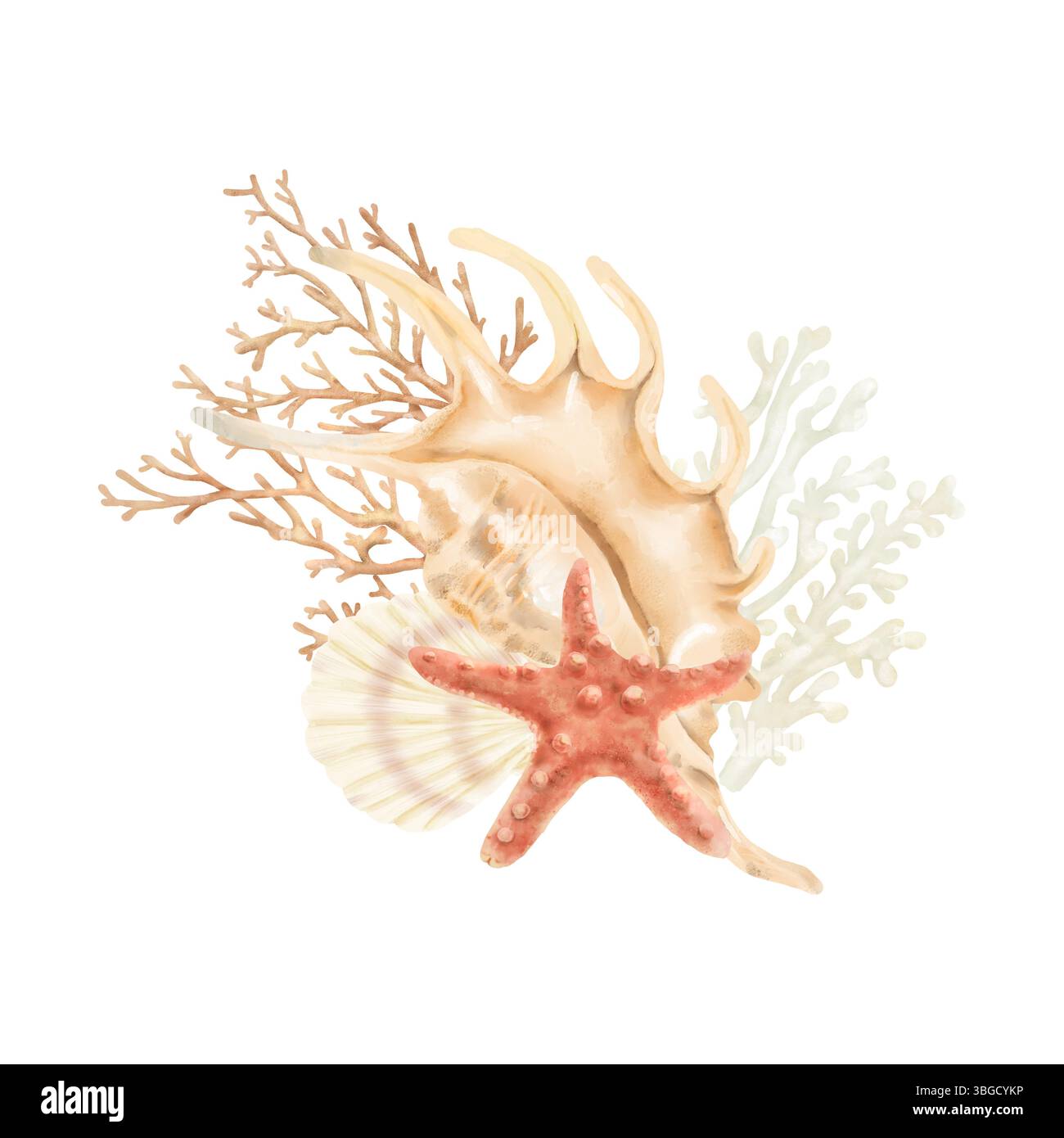 Marine life poster Cut Out Stock Images & Pictures - Alamy