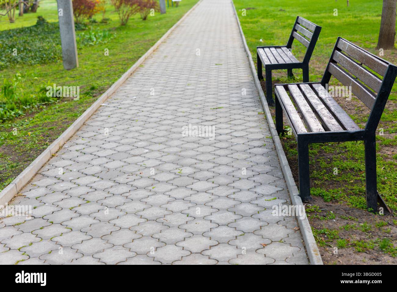 Long paved walkway in a green park with two black metal and wooden ...