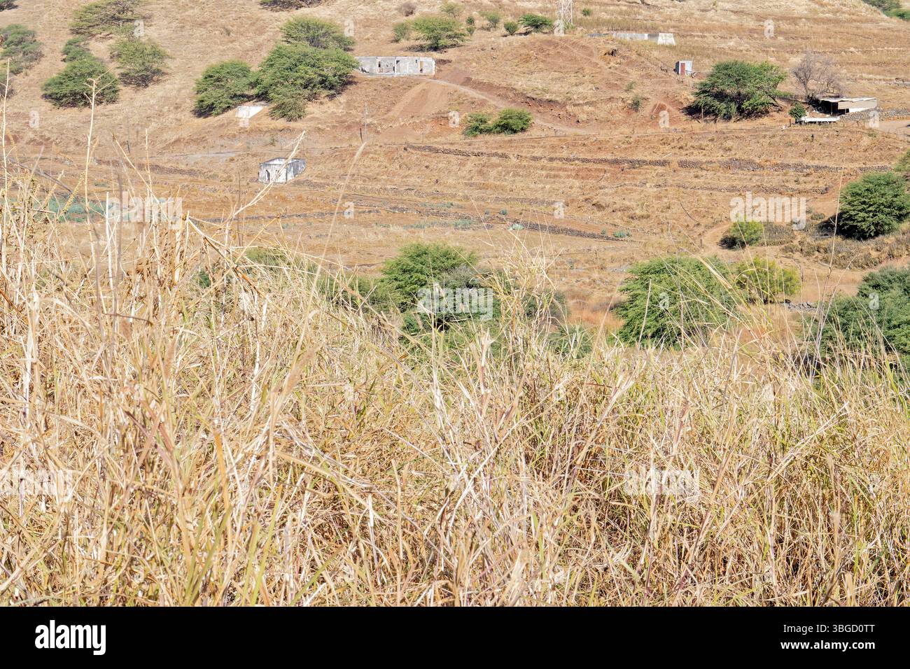 Praia, cape verde hi-res stock photography and images - Alamy