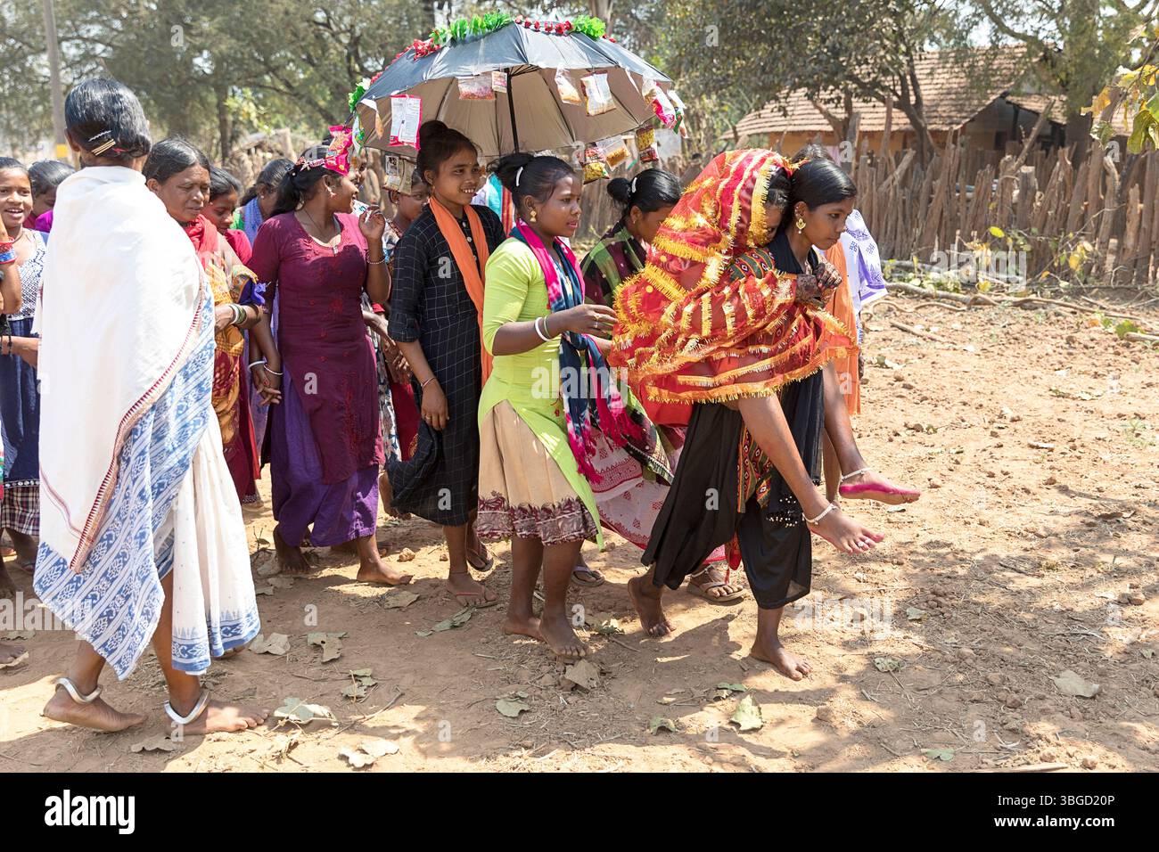 Traditional colourful wedding ceremony of gadhava tribe in orissa in ...