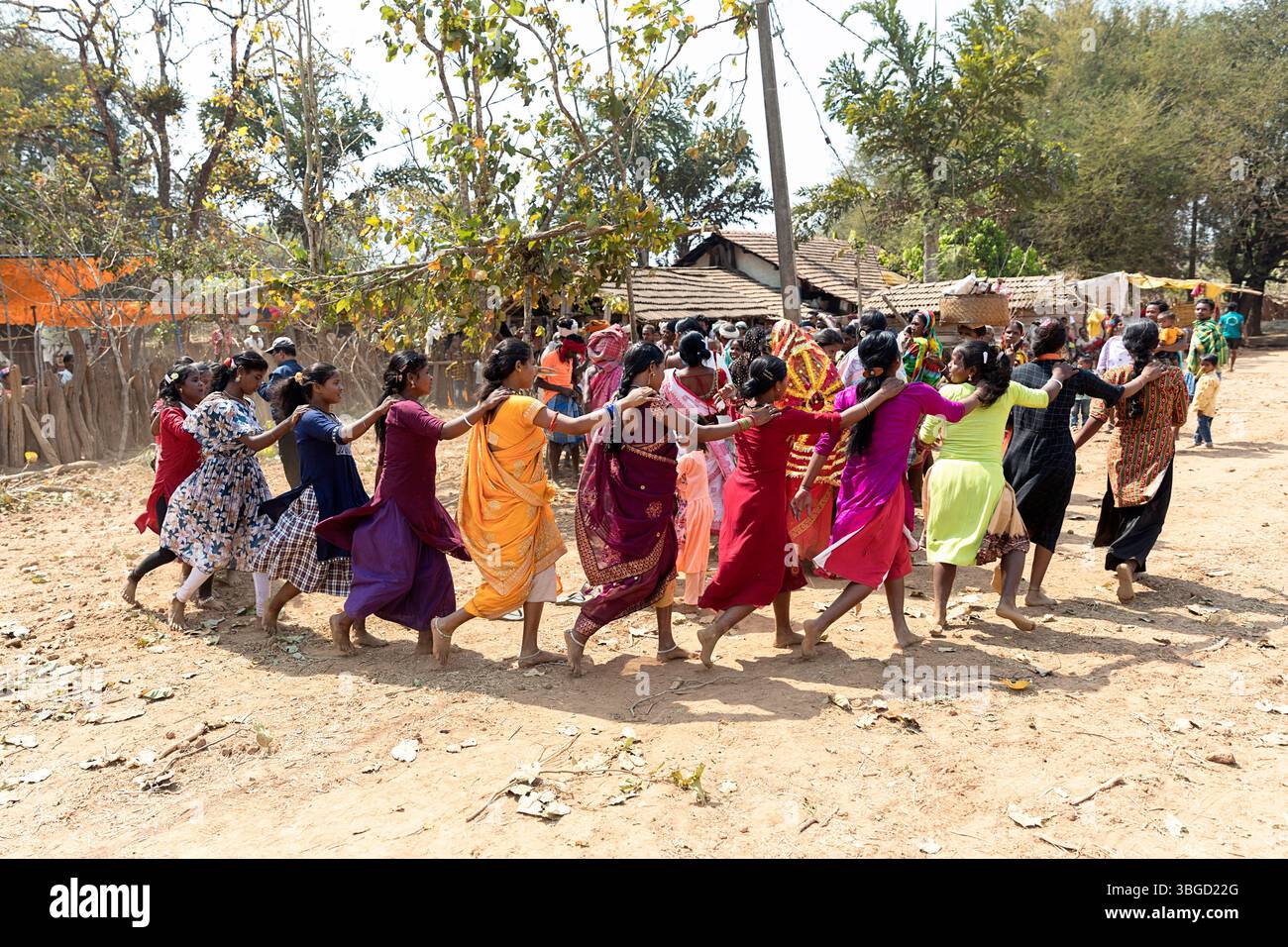 Traditional colourful wedding ceremony of gadhava tribe in orissa in ...