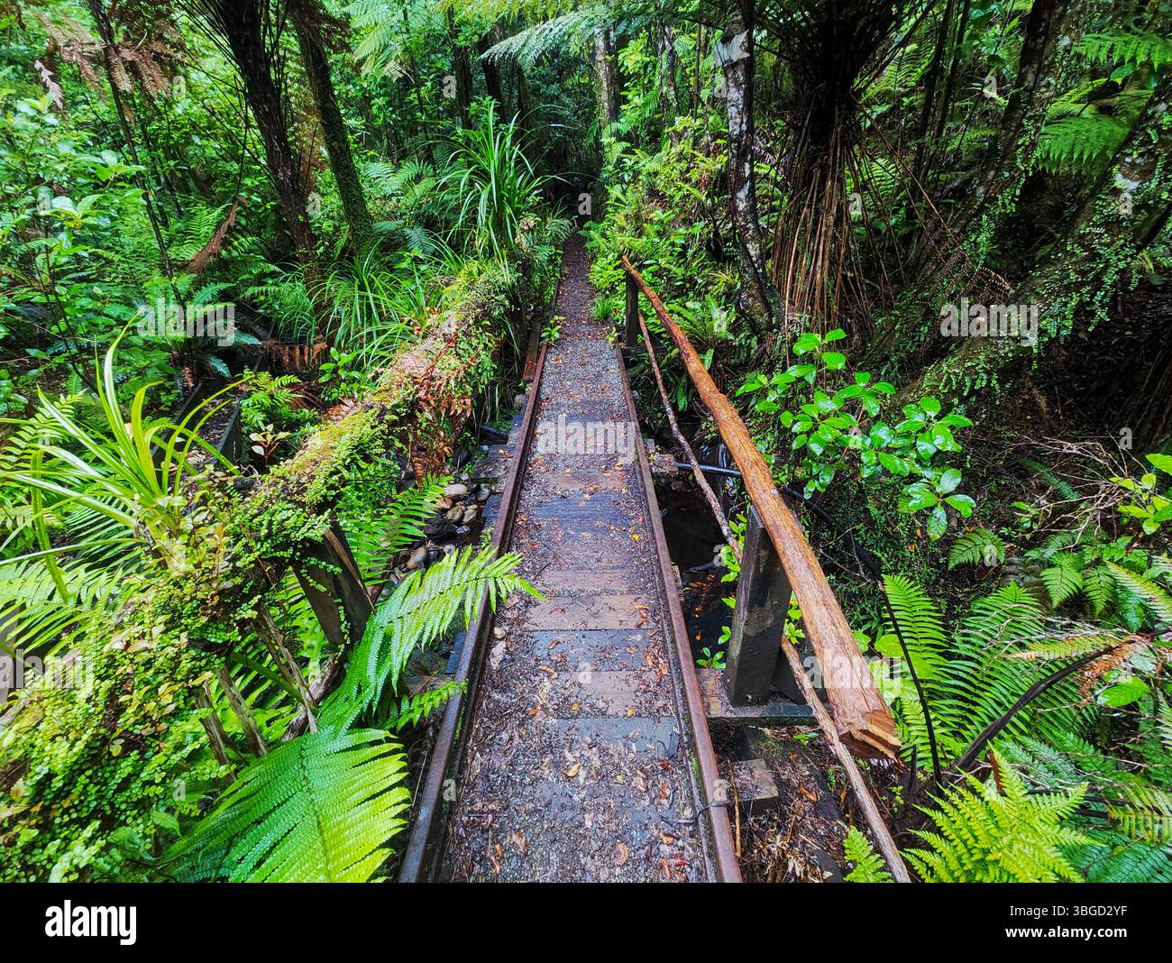 Mitchells Gully Gold Mine at Charleston on New Zealand Stock Photo - Alamy