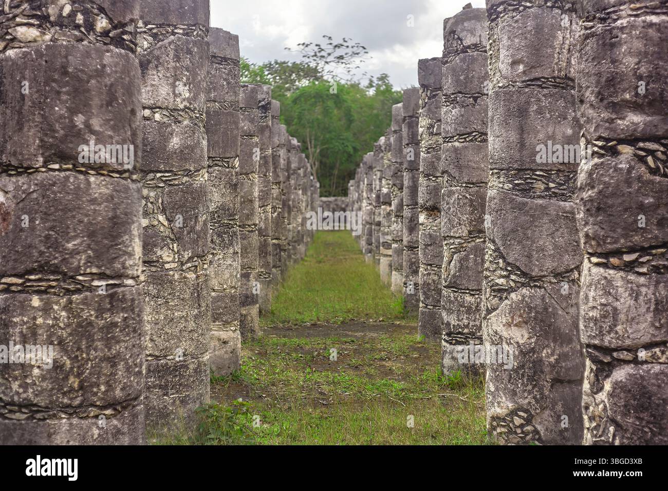 Perspective view of the group of a thousand columns at the mayan archaeological site of chichen ...