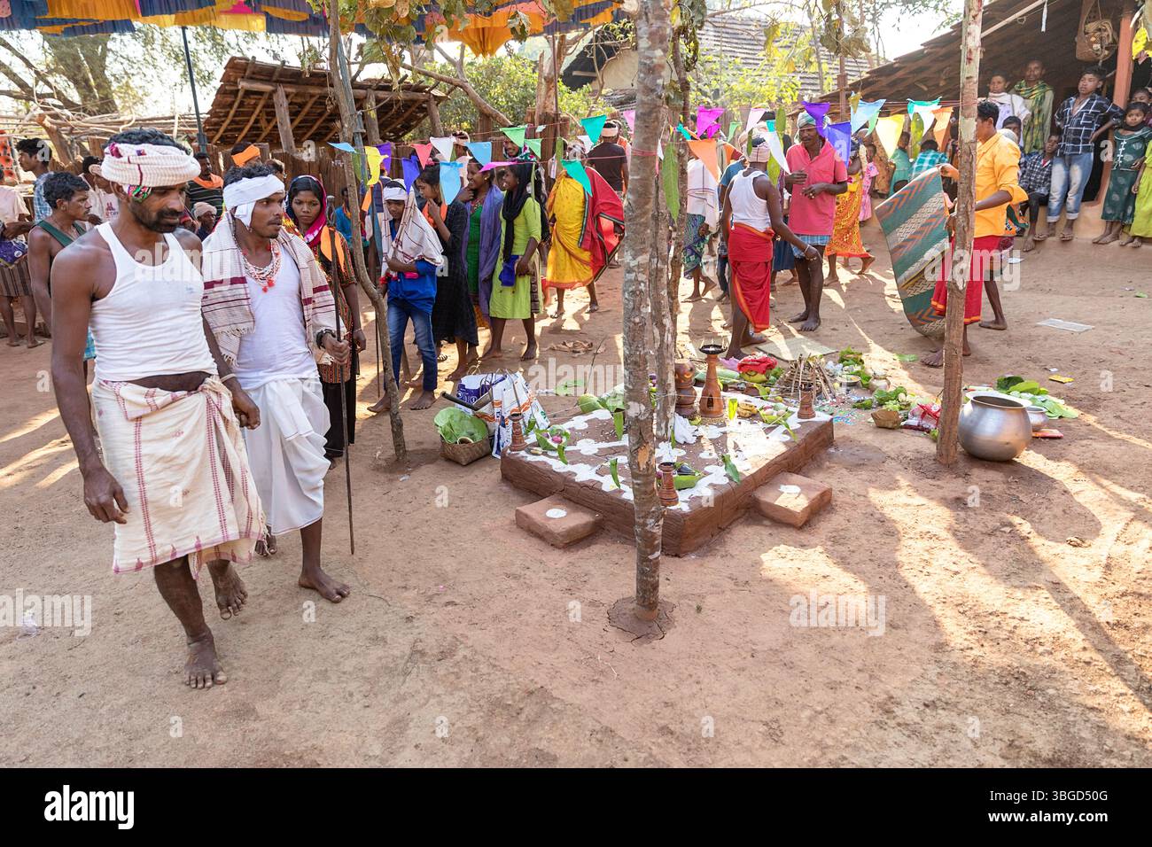 Traditional colourful wedding ceremony of gadhava tribe in orissa in ...