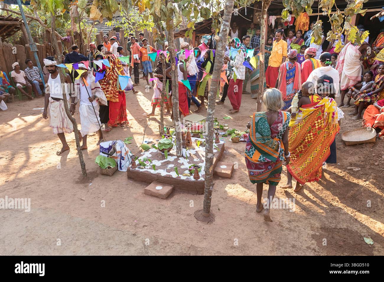 Traditional colourful wedding ceremony of gadhava tribe in orissa in ...