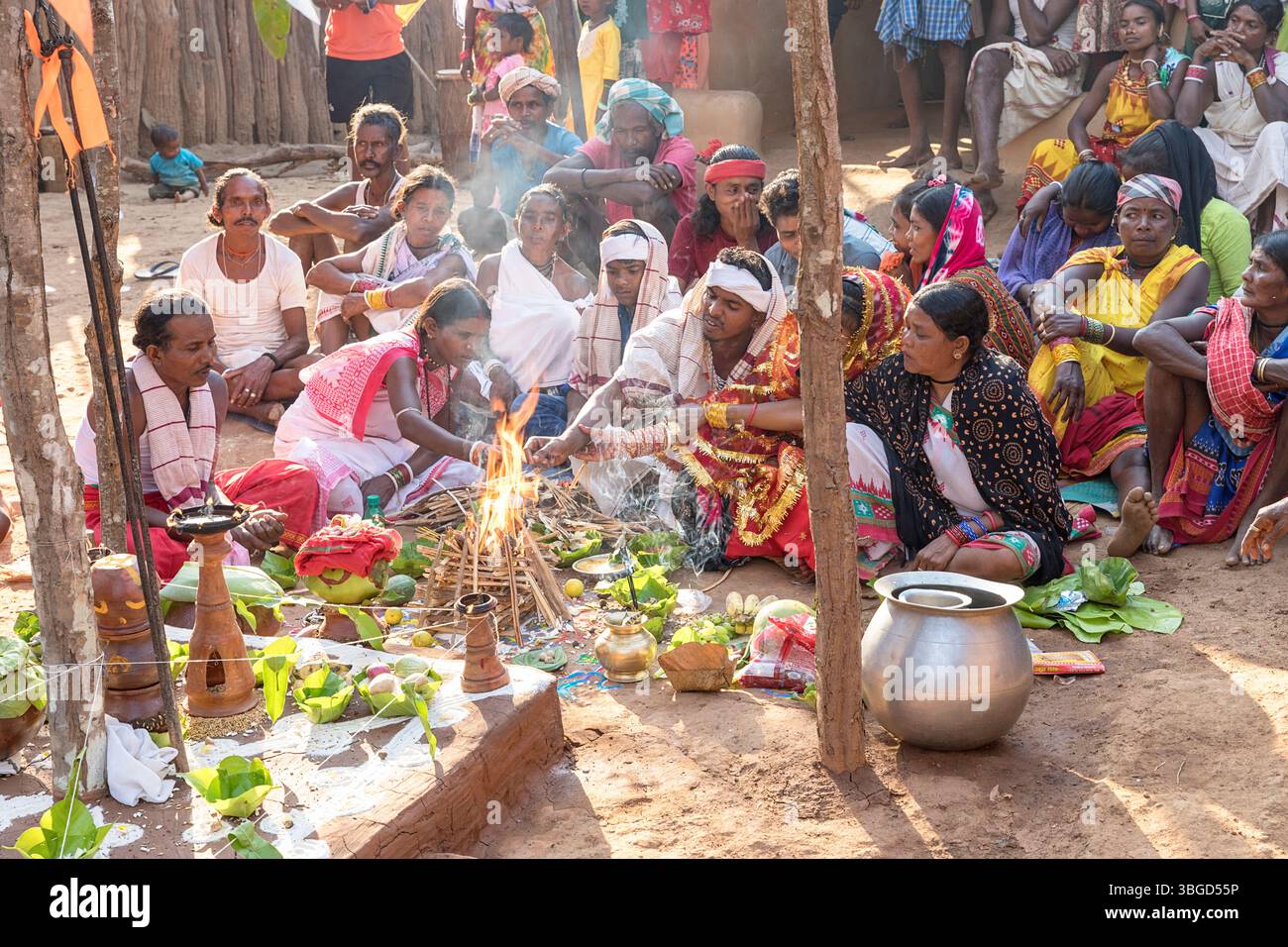 Traditional colourful wedding ceremony of gadhava tribe in orissa in ...