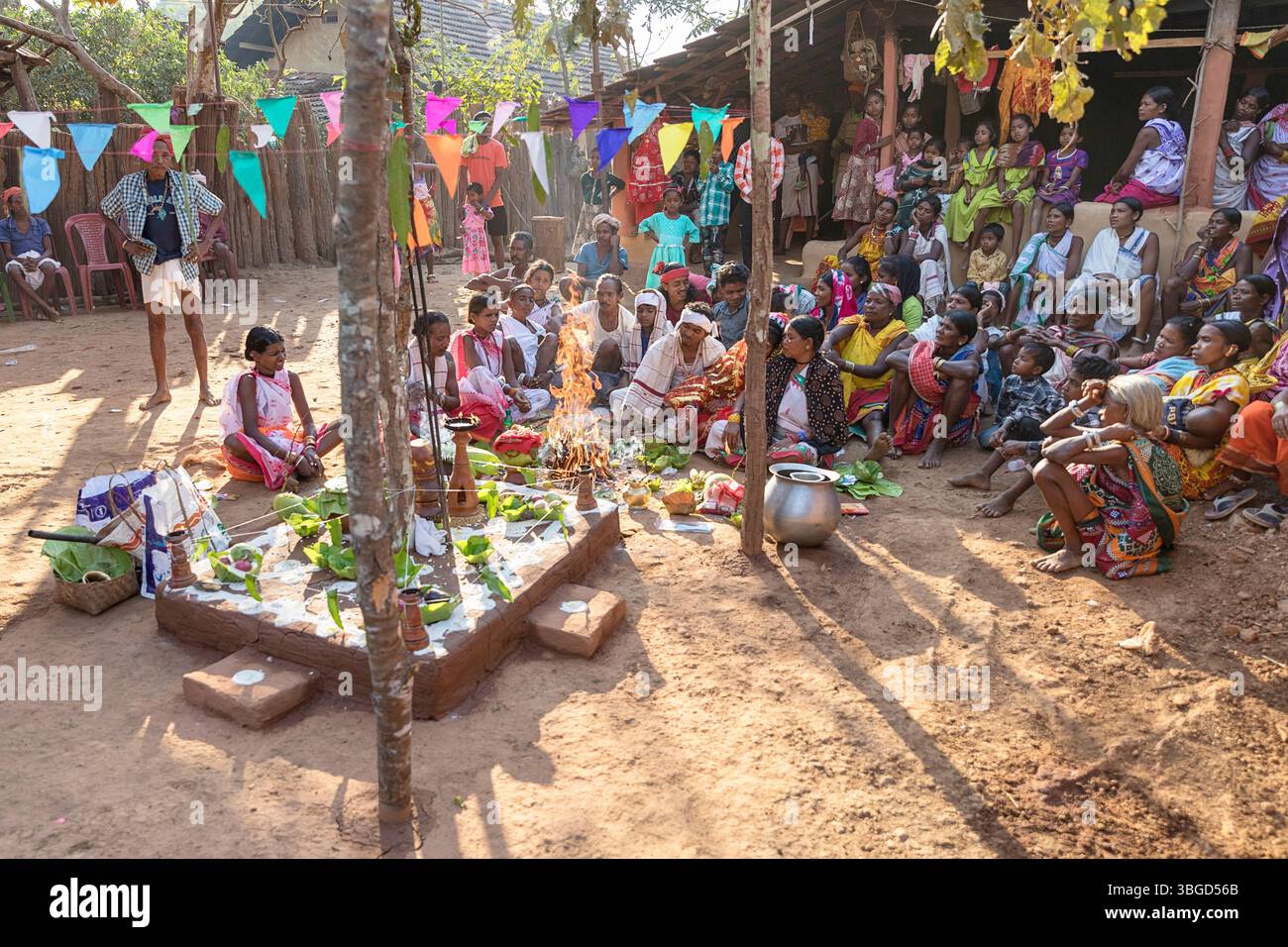 Traditional colourful wedding ceremony of gadhava tribe in orissa in ...