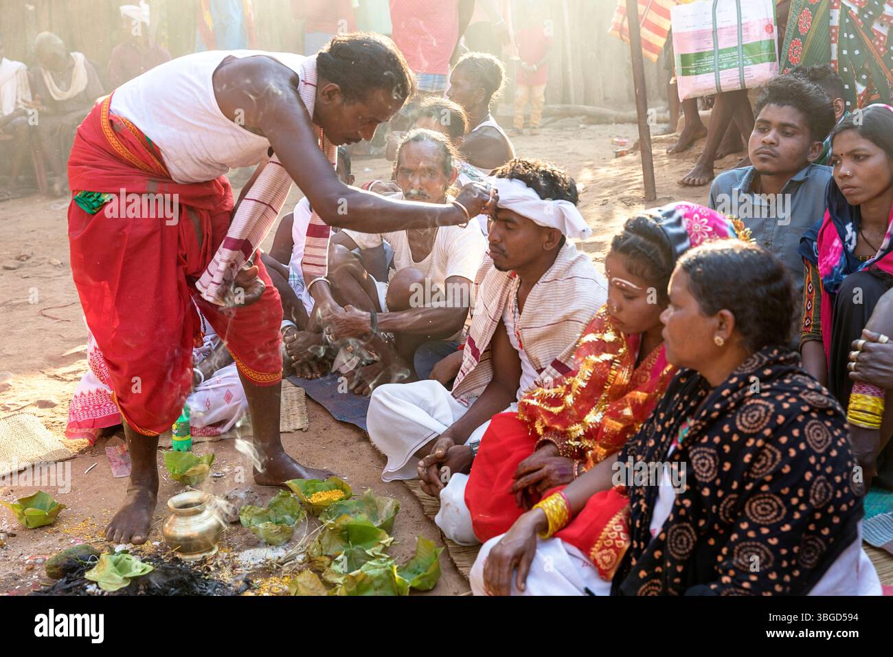 Traditional colourful wedding ceremony of gadhava tribe in orissa in ...