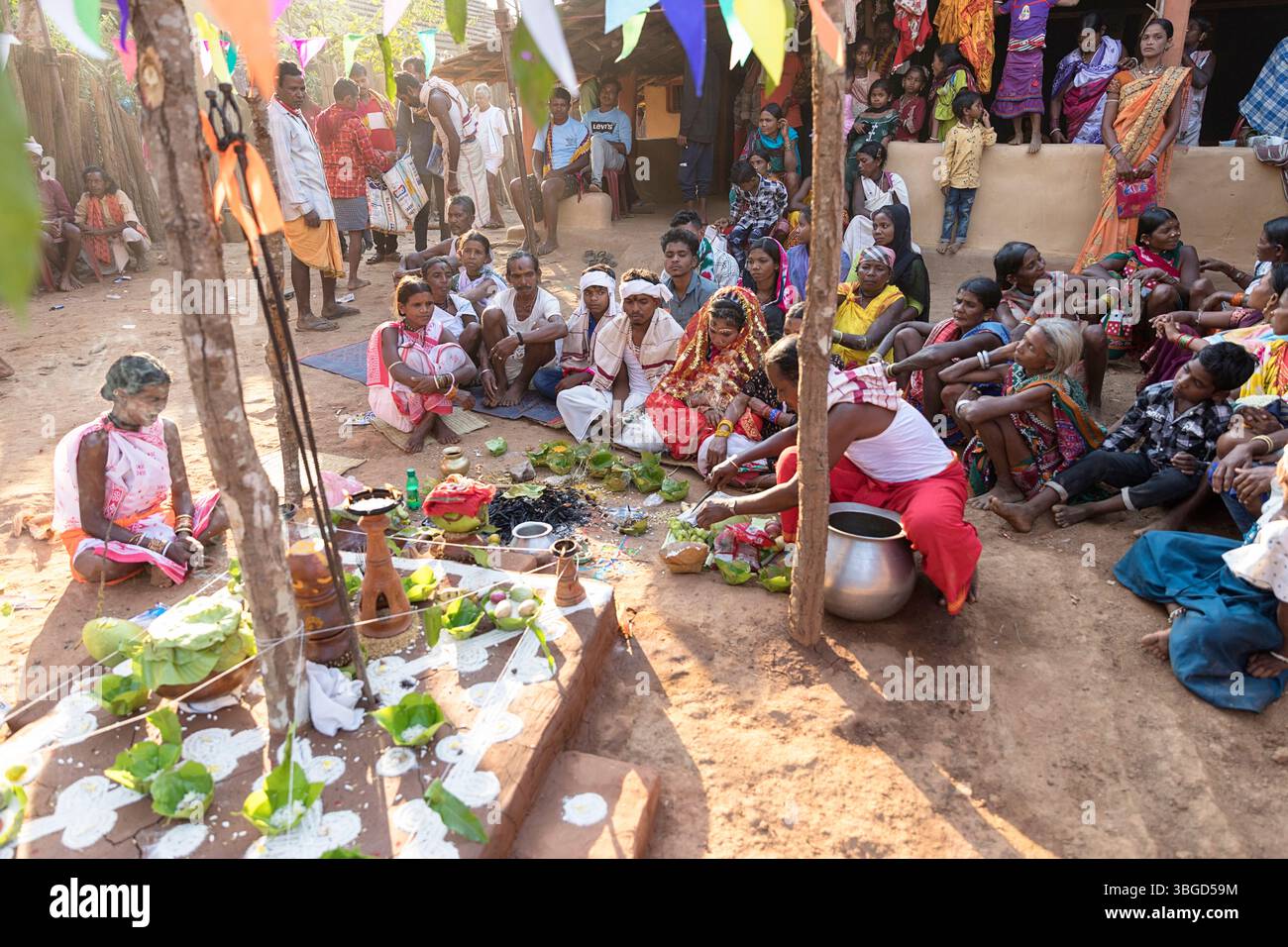 Traditional colourful wedding ceremony of gadhava tribe in orissa in ...