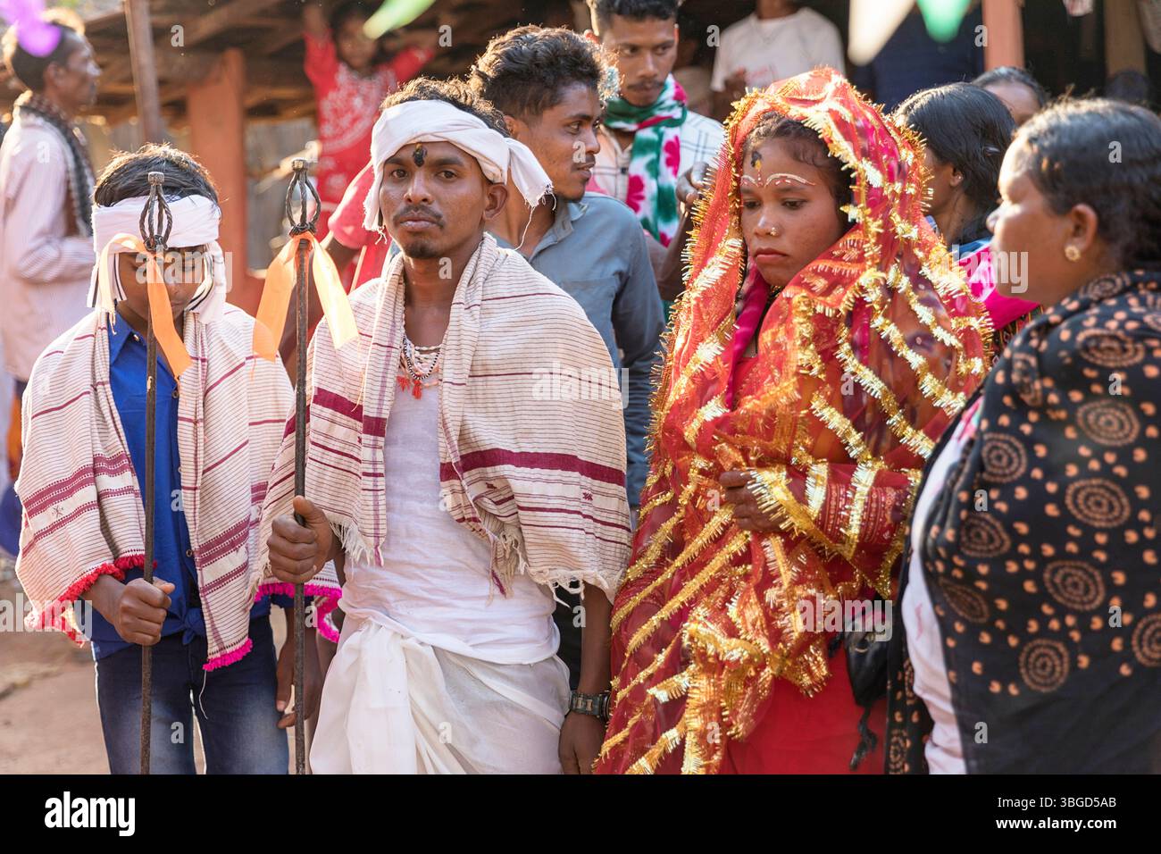 Traditional colourful wedding ceremony of gadhava tribe in orissa in ...