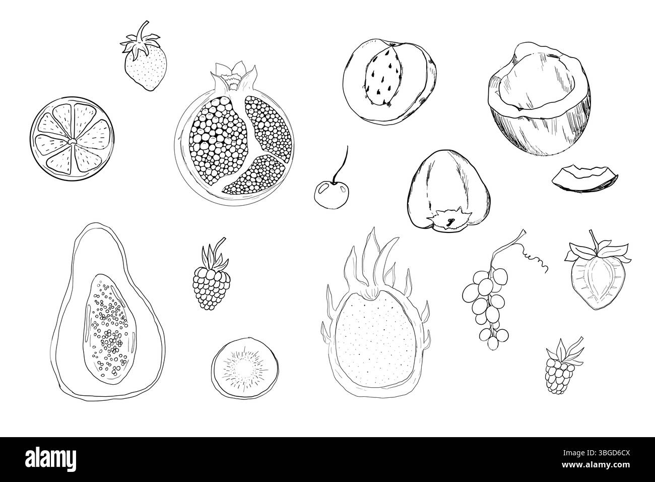 Sketch set fruits, hand drawn tropical fruits and berries. Sweet fresh ...