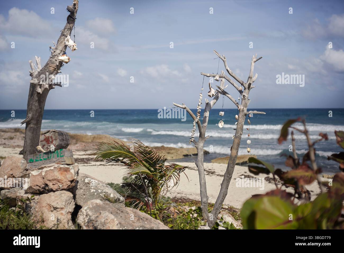 Isla Mujeres, Mexico 1 January 2025: Seashells and bones decorate dead ...
