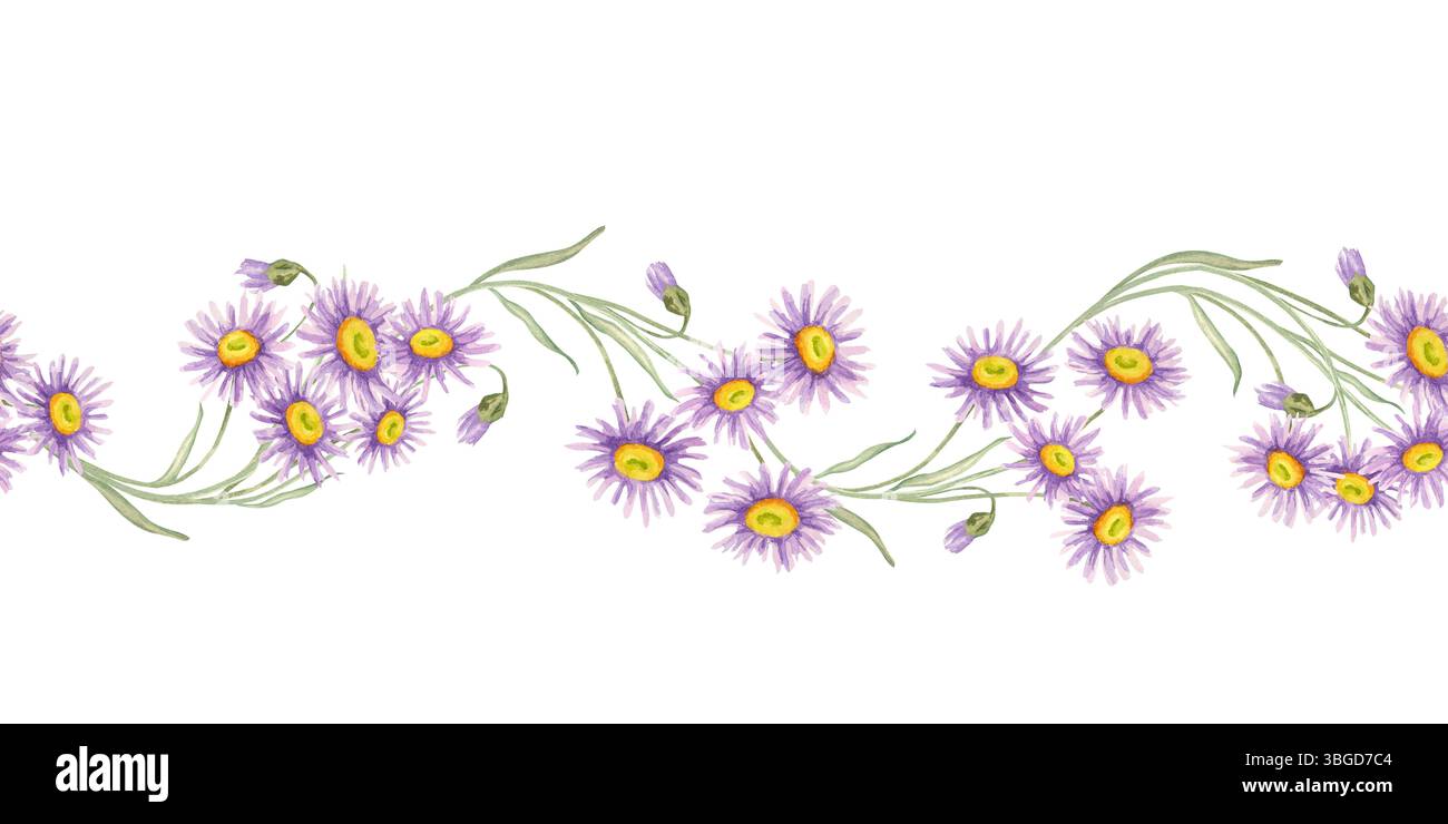 Floral border clipart hi-res stock photography and images - Alamy