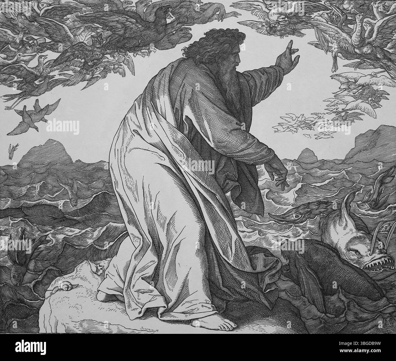 Old Testament. The Fifth day of Creation. Genesis. Illustration by J ...