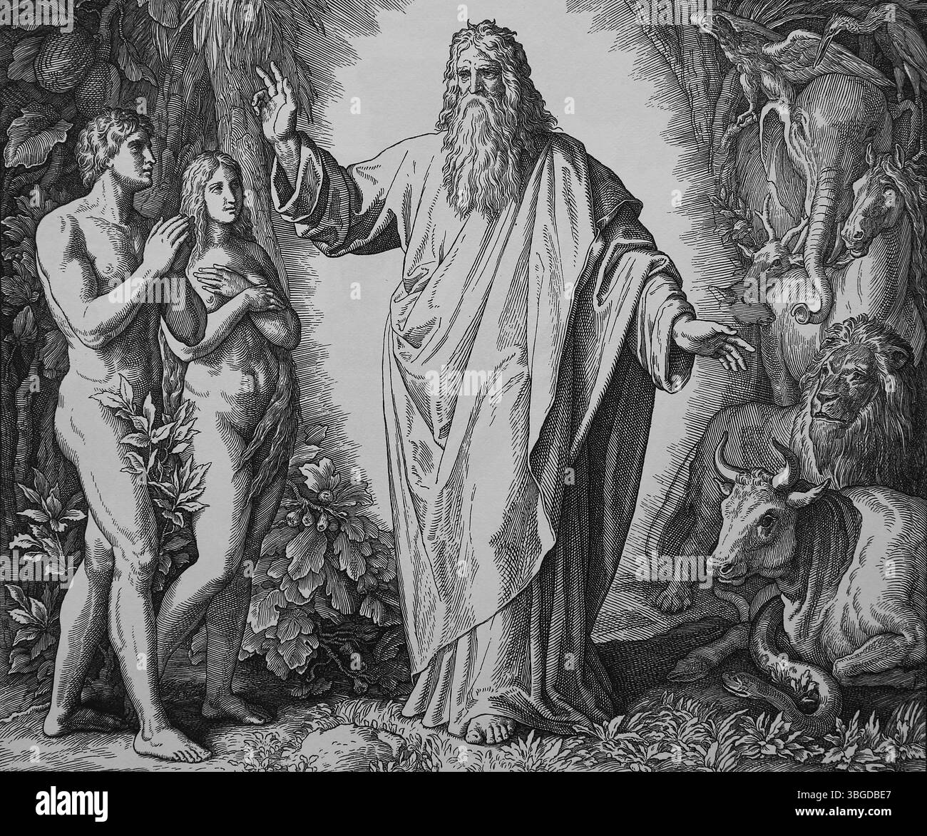 Old Testament. The Sixth Day of Creation. Genesis. Illustration by J ...
