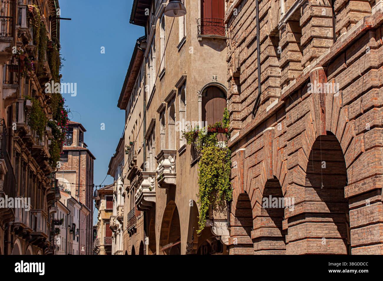Treviso, Italy 1 January 2025: Plants cascading from balconies add ...