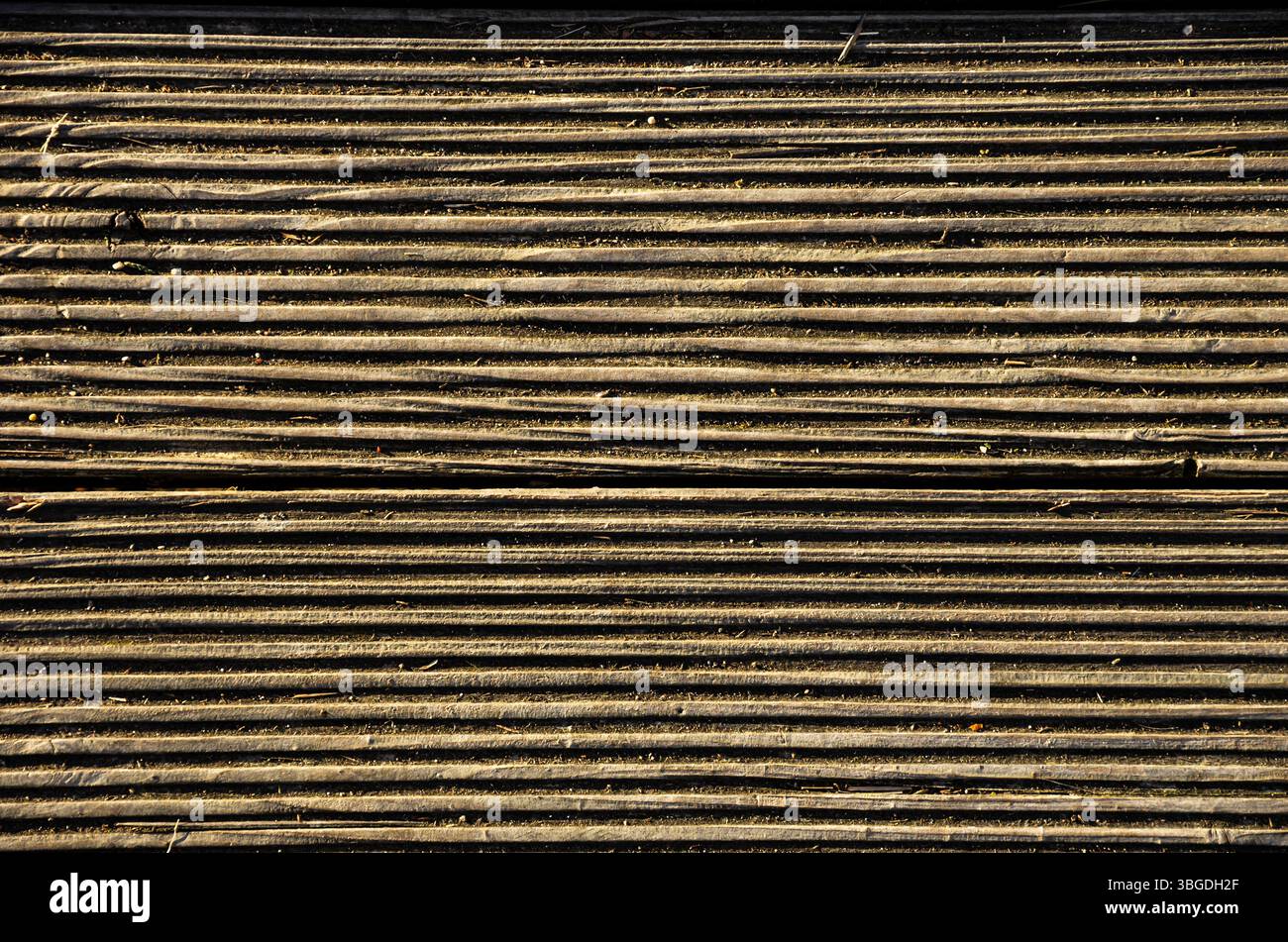 Fluted wood structure, parallel grooves in a wooden surface Stock Photo ...