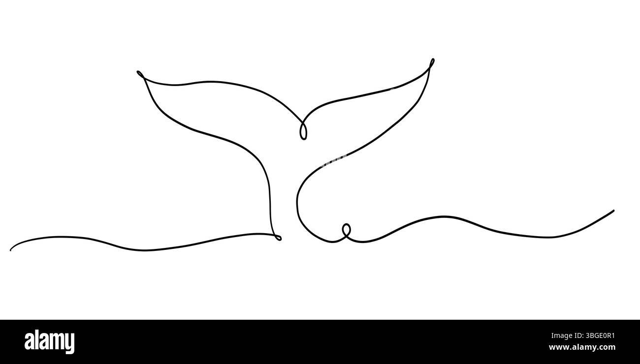 Continuous line whale tail drawing minimalist ocean outline vector ...