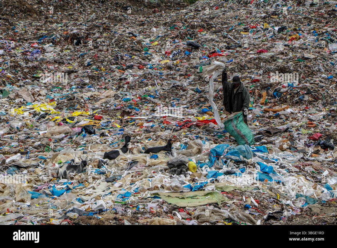 An informal waste worker collects materials to recycle at Gioto ...