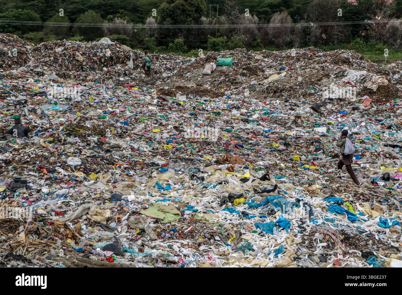 An informal waste worker collects materials to recycle at Gioto ...