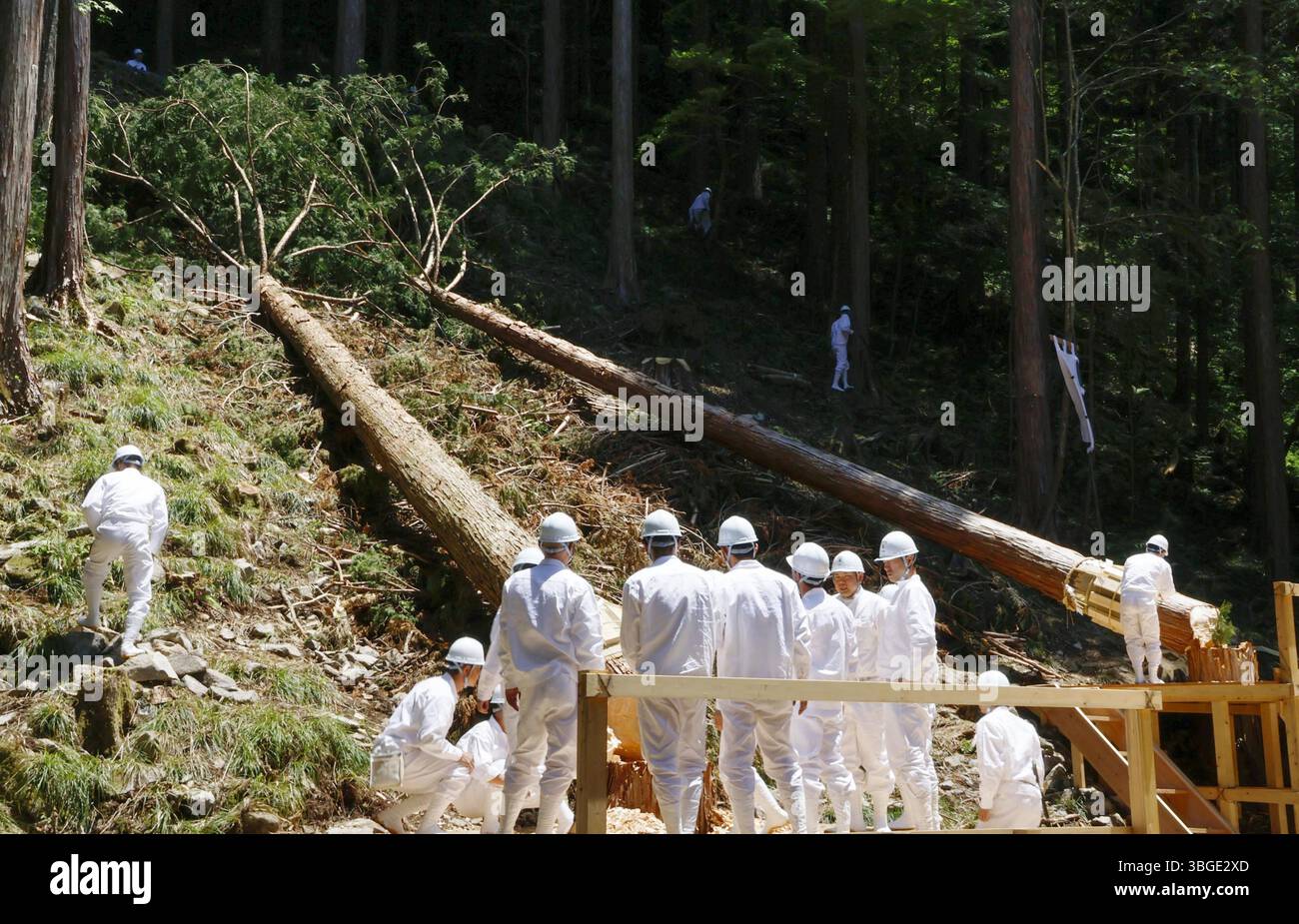 Woodcutters take part in a tree-felling rite in Nakatsugawa, Gifu ...