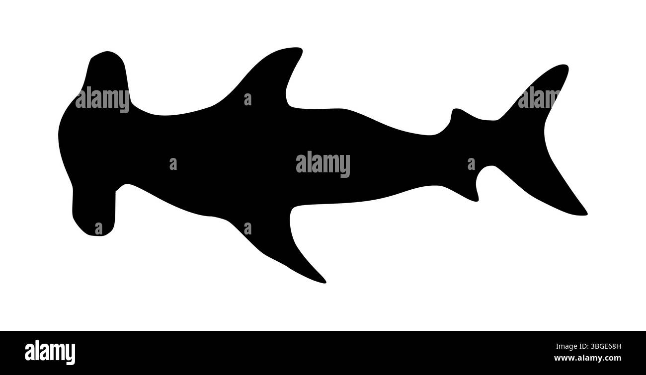 Hammerhead shark silhouette, black hand drawn flat vector illustration ...