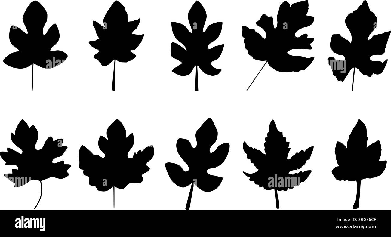 Fig Leaves Silhouette set, hand drawn vector illustration of fig leaf ...
