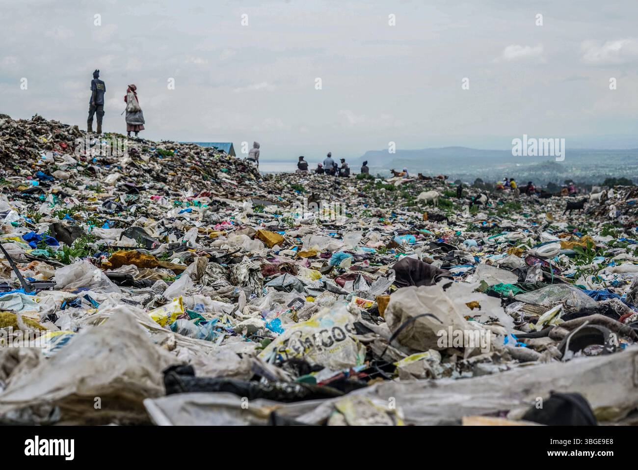 Nakuru, Kenya. 04th June, 2025. Informal waste workers collect ...